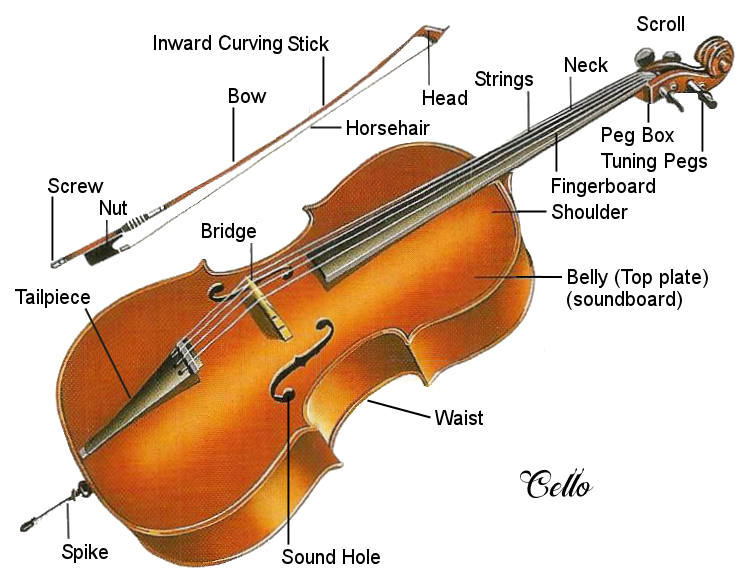 Cello Musical Help Cello Musical Help